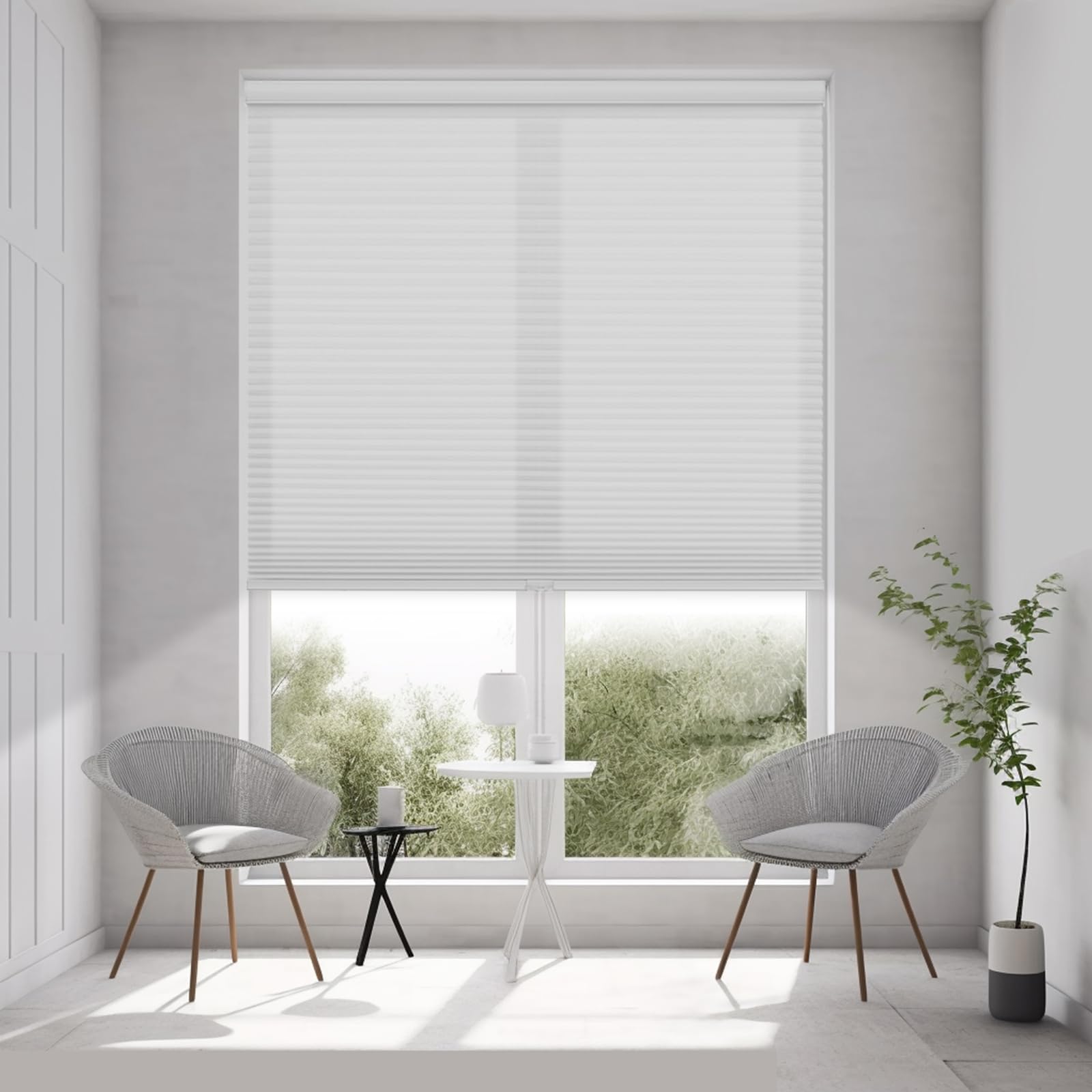 Amazon.com: Changshade Cordless Light Filtering Cellular Shades ...