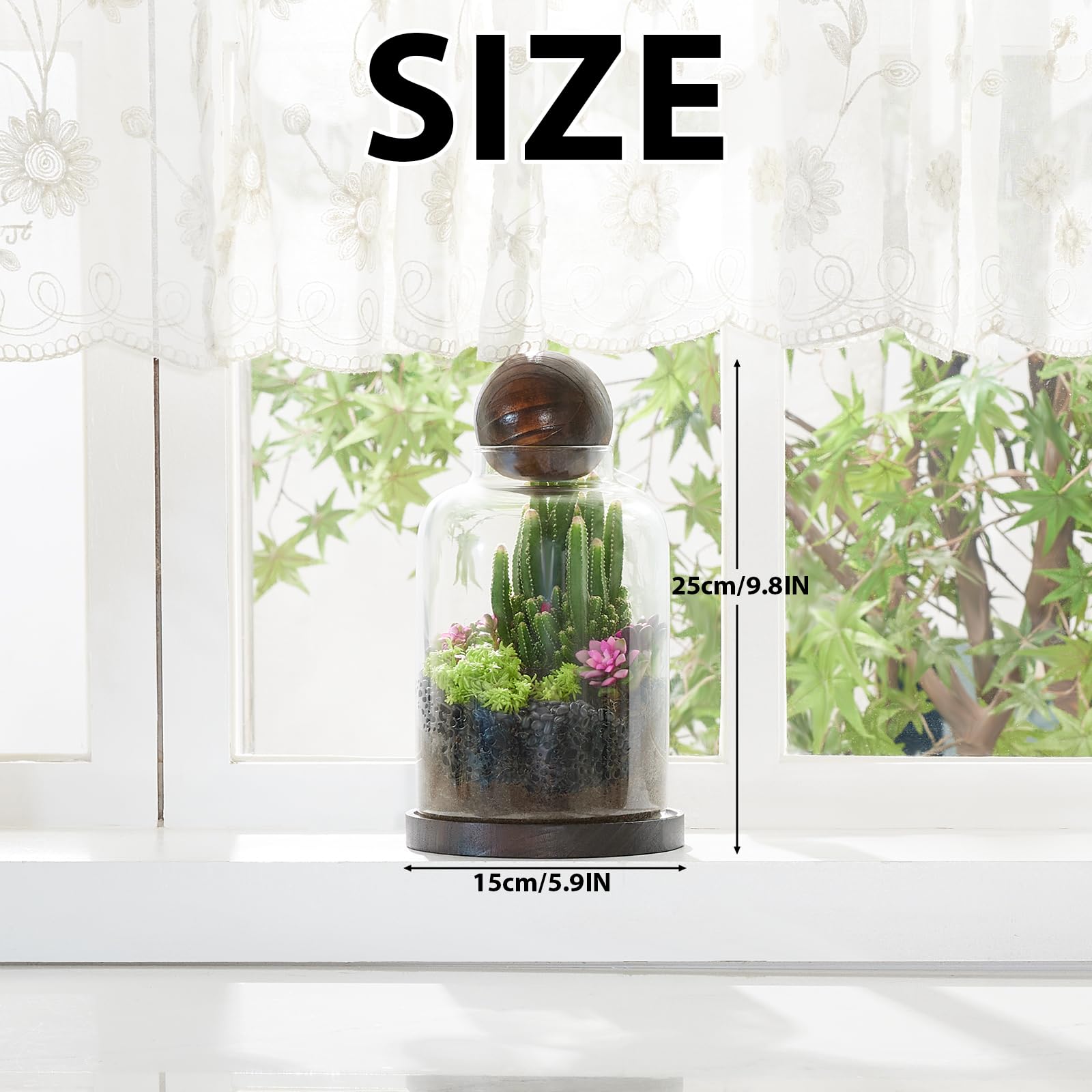 Snapklik.com : Yangbaga Large Glass Terrarium Succulent Plant Terrarium ...