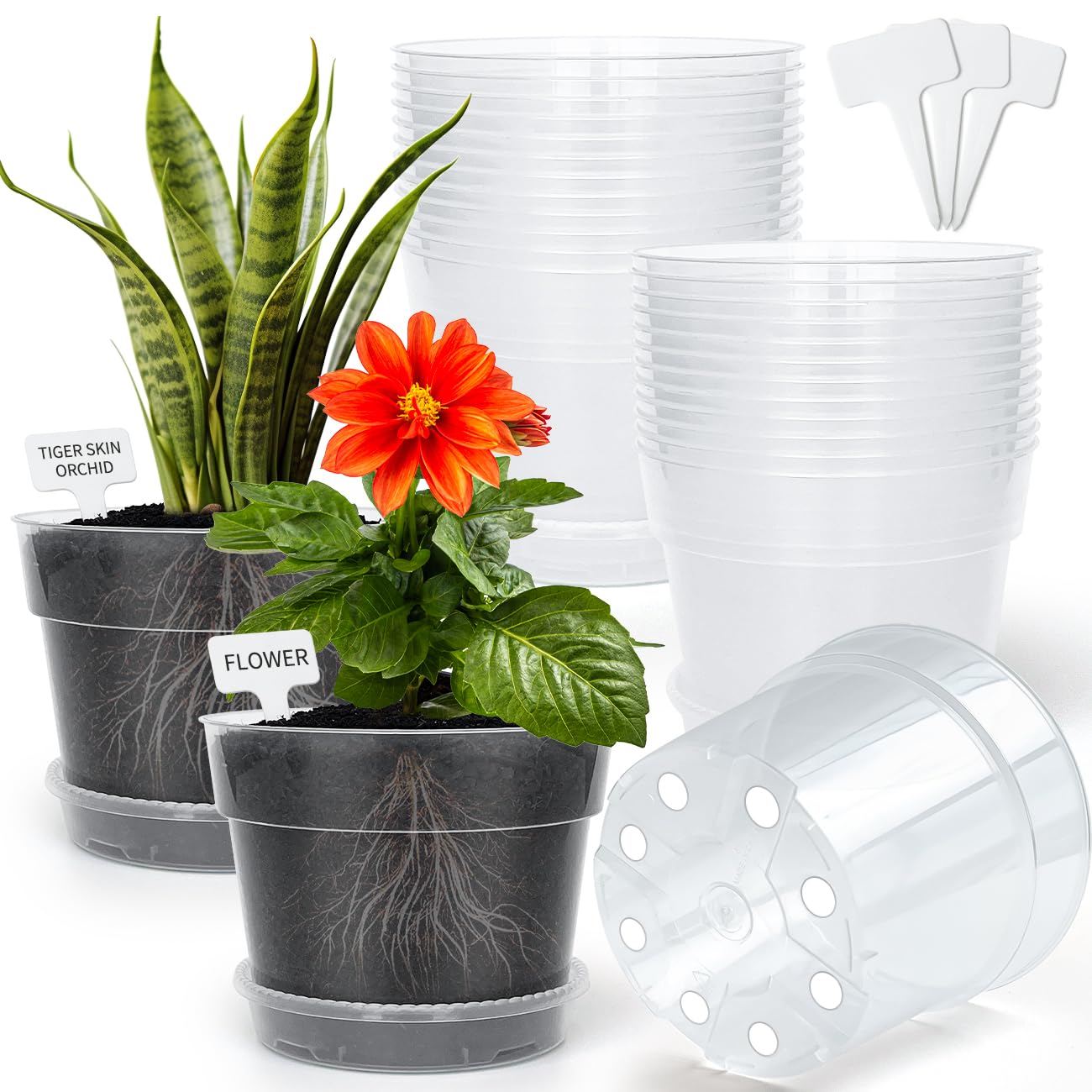 Amazon.com: BTPLASTIK Clear Plastic Nursery Pots for Plants, 6 Inch ...