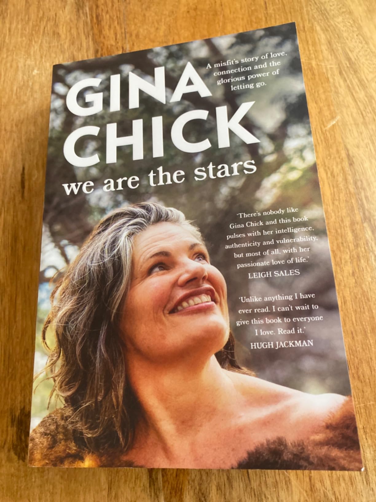 We Are the Stars: A misfit's story of love, connection and the glorious ...