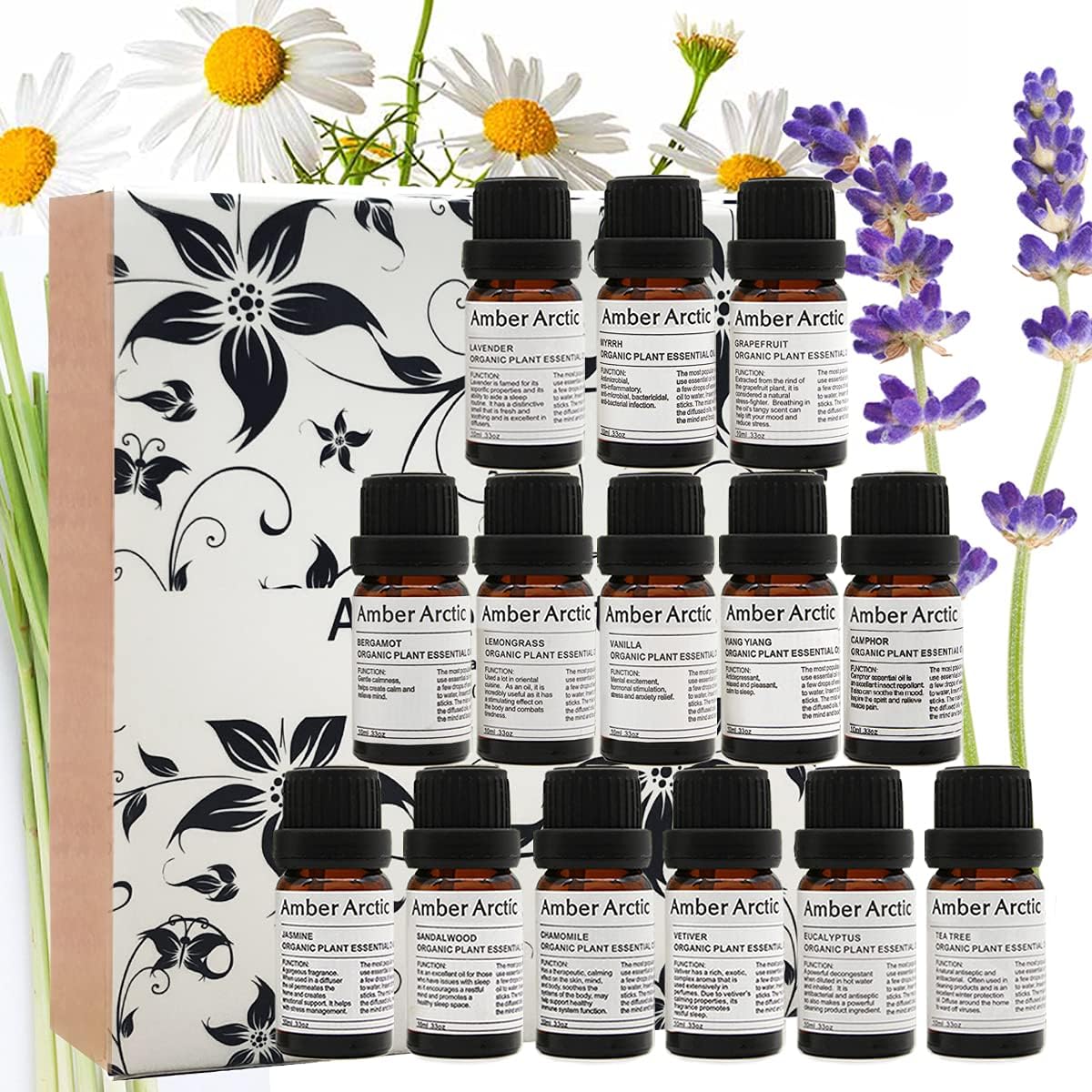 Amazon.com: Top 14 Essential Oil Set 100% Pure Oil (Jasmine, Sandalwood ...