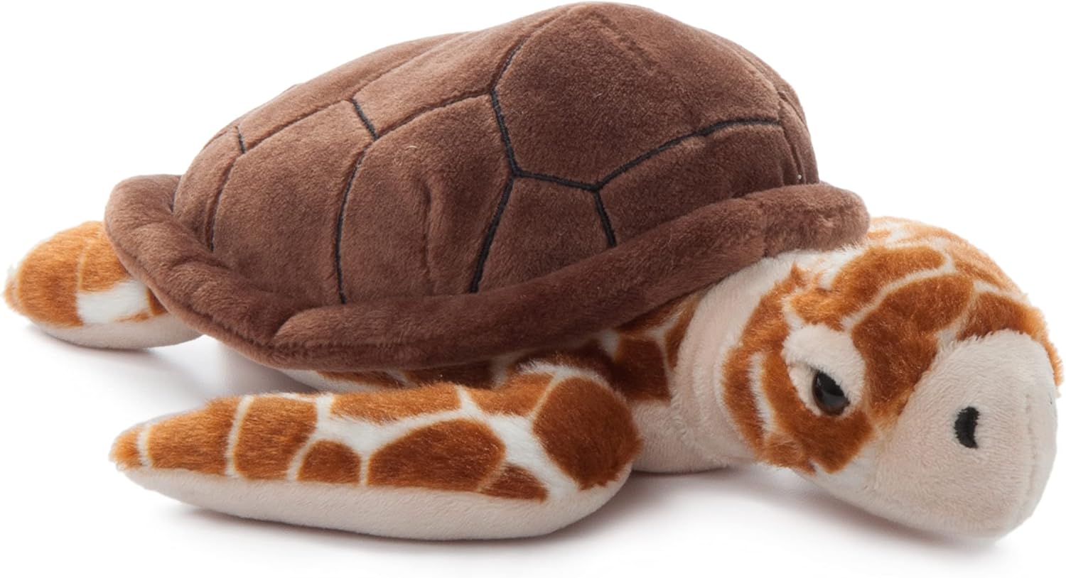 Amazon.com: The Petting Zoo Loggerhead Sea Turtle Stuffed Animal ...