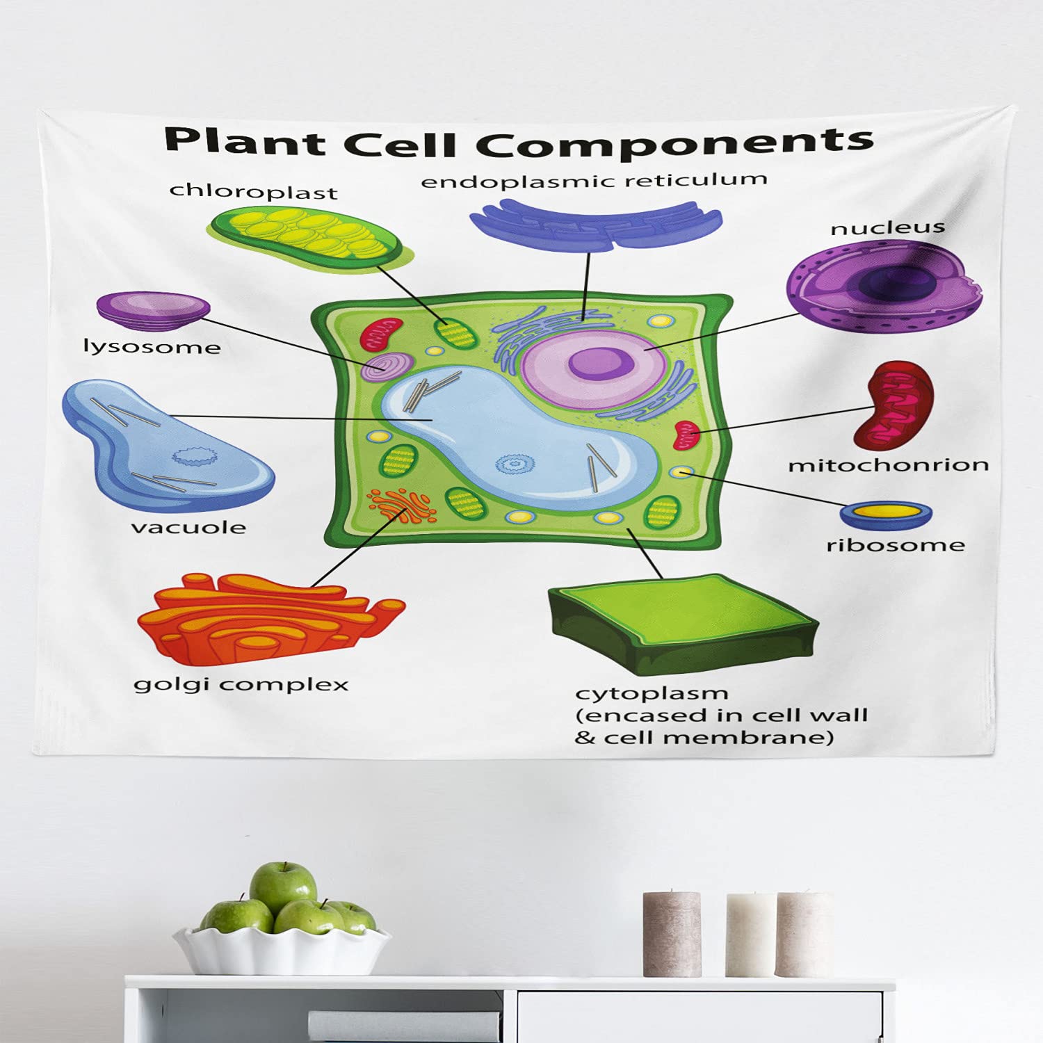 Endoplasmic Reticulum Cartoon