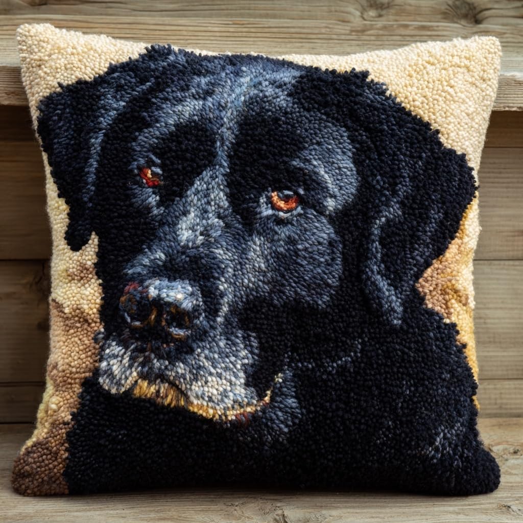 Amazon.com: DIY Latch Hook Pillow Kit Black Labrador Dog Portrait Easy ...