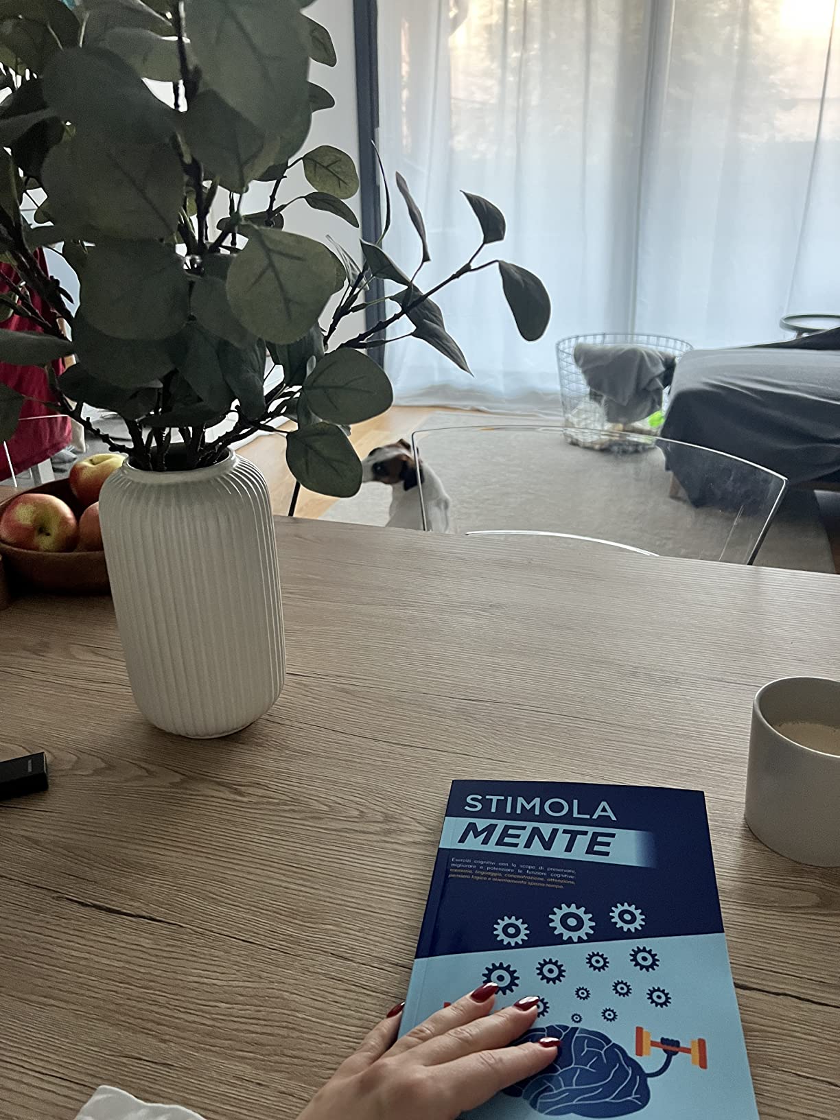 Amazon.it: Stimola Mente: Esercizi cognitivi con lo scopo di preservare ...