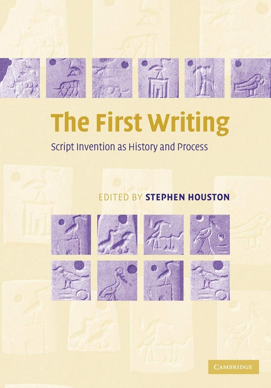 Amazon | The First Writing: Script Invention as History and Process ...