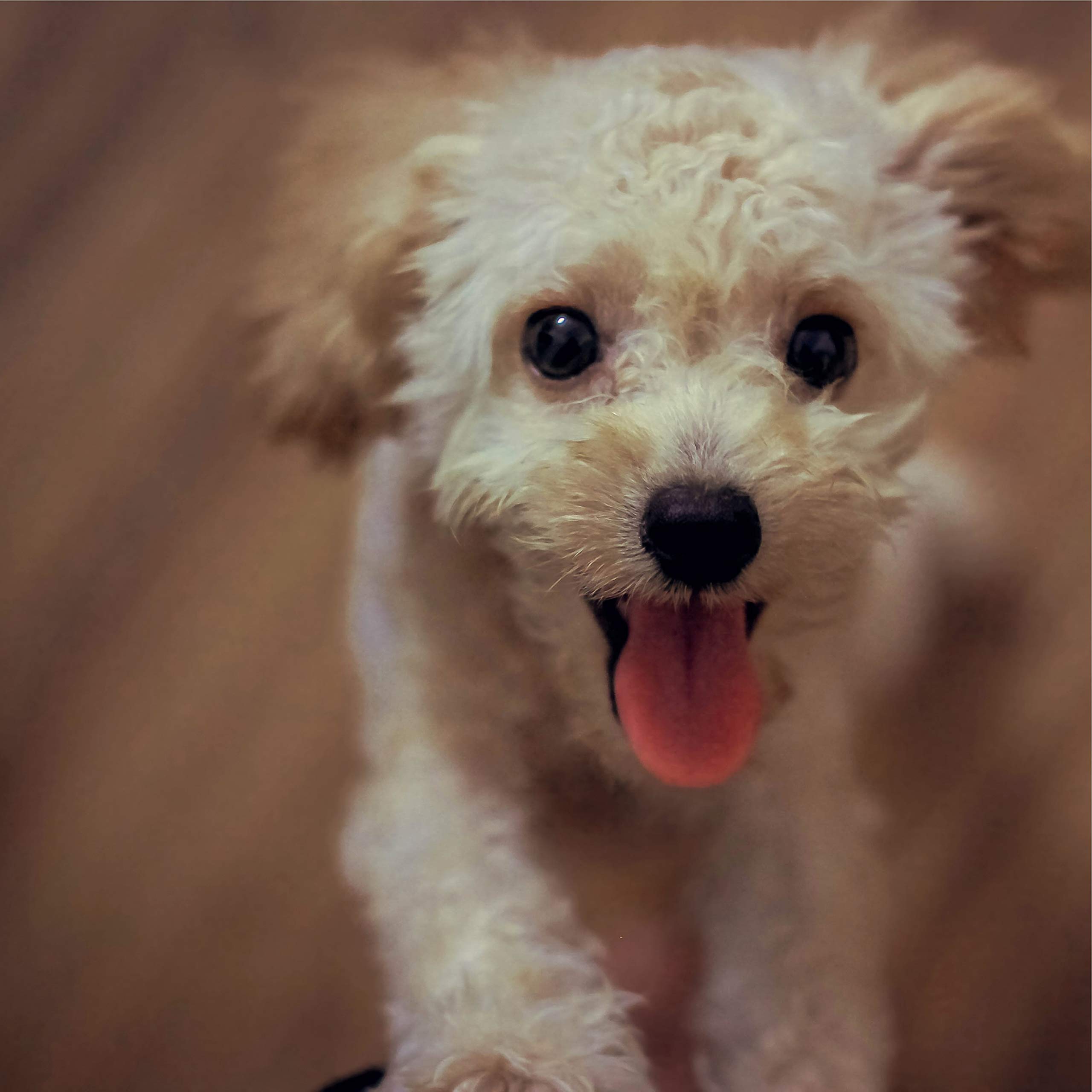 Delta Zen song by Hieling from Farthest Point of Light on Amazon Music