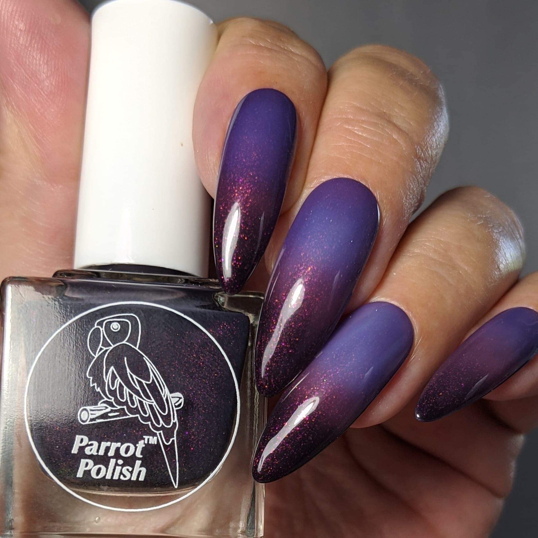 Amazon.com : Parrot Polish The Seductress Thermal Nail Polish - Black ...