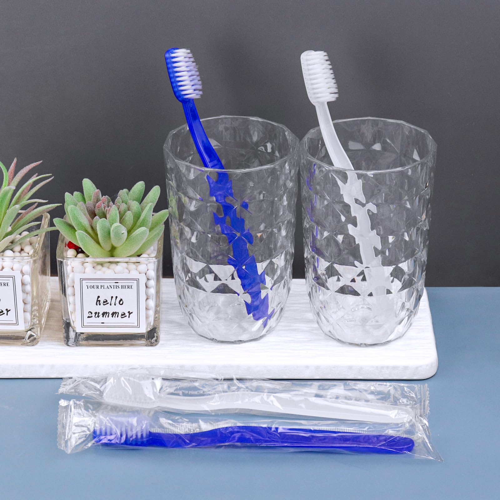 Snapklik.com : Gisdo 500 Pcs Prepasted Disposable Toothbrushes Bulk ...