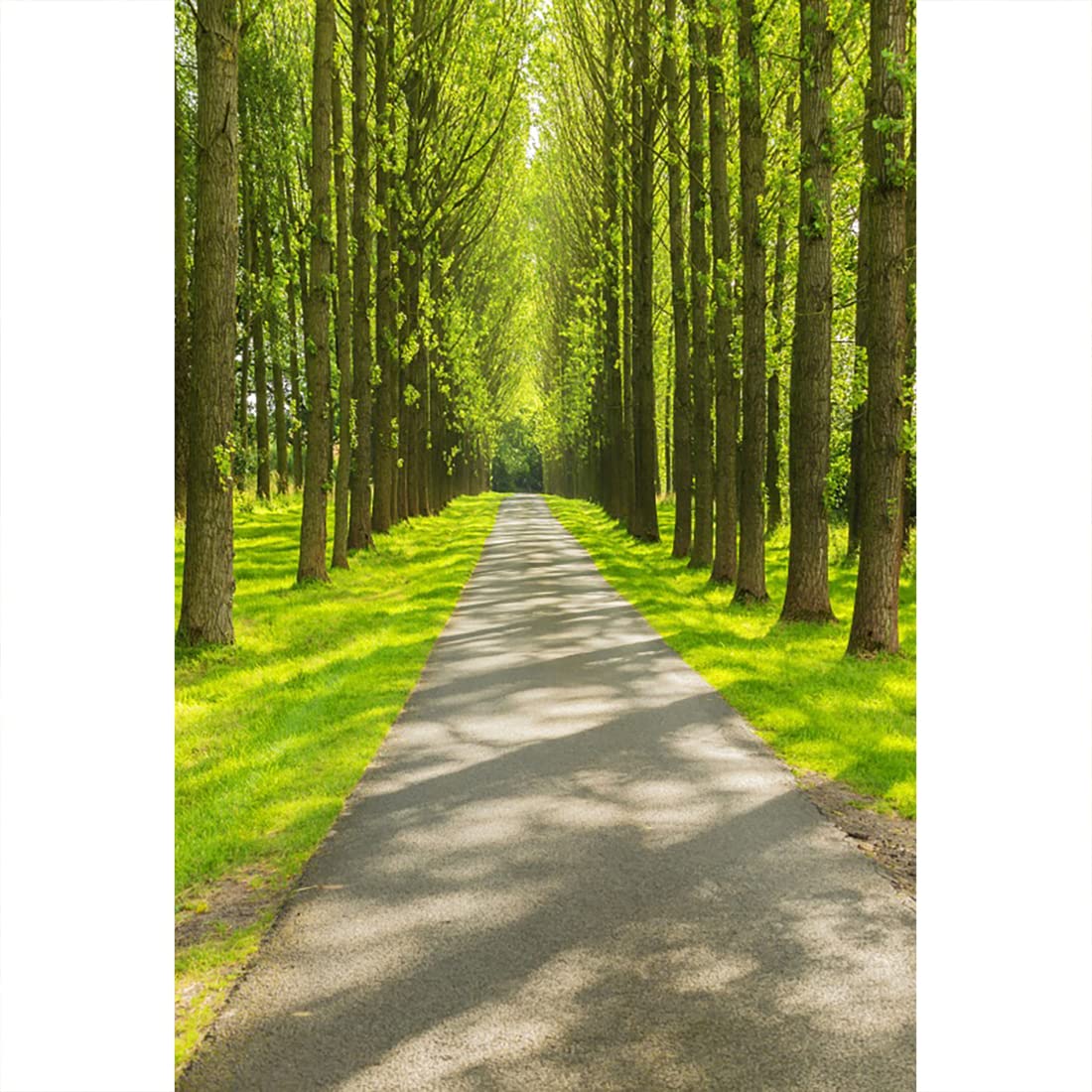 Buy YongFoto 8x10ft Natural Landscape Background Lush Forest Tunnel ...