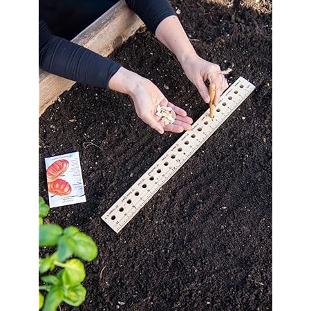 Amazon.com : Burgon & Ball GES/PRULE12 Planting Ruler, Wooden : Patio ...