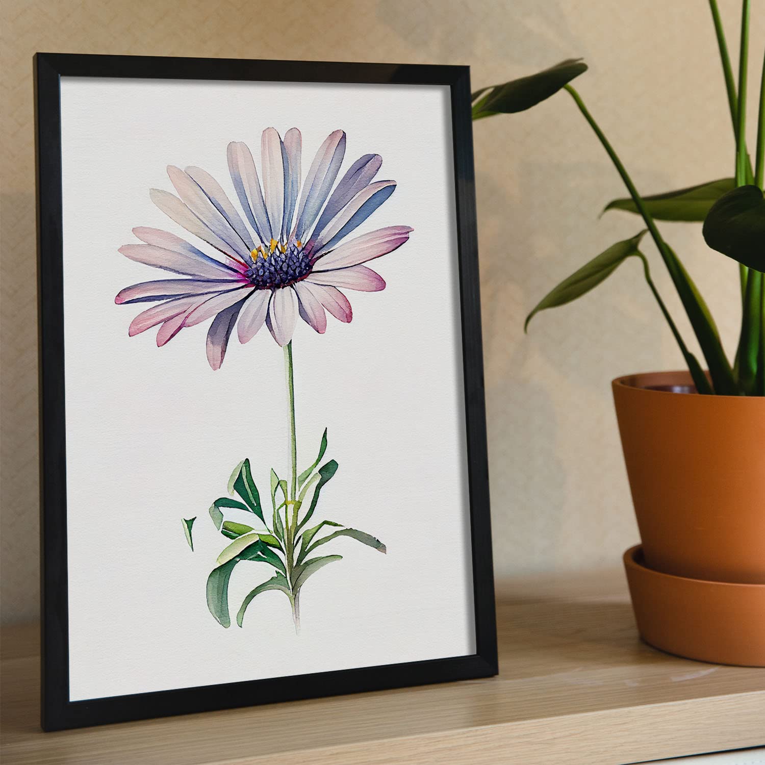 Daisy Botanical Illustration