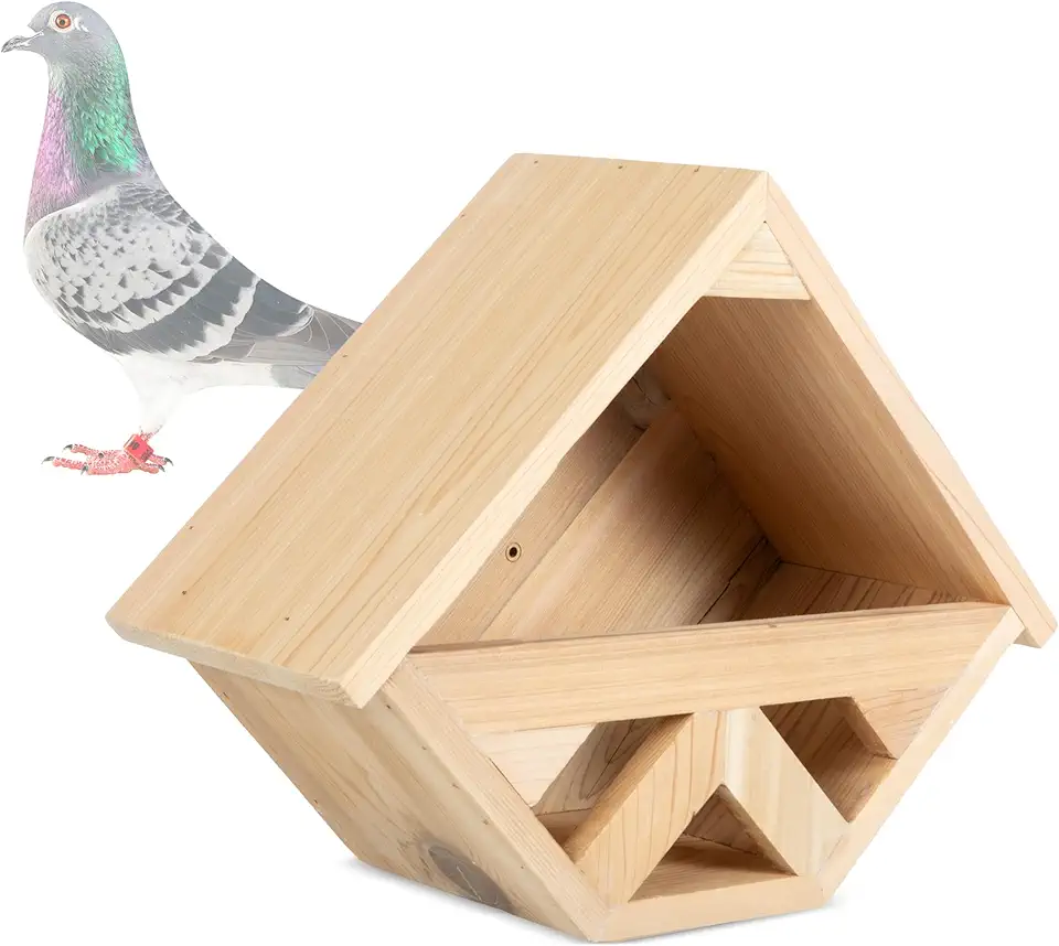 Creating The Perfect Mourning Dove Nesting Box: A Step-By-Step Guide ...