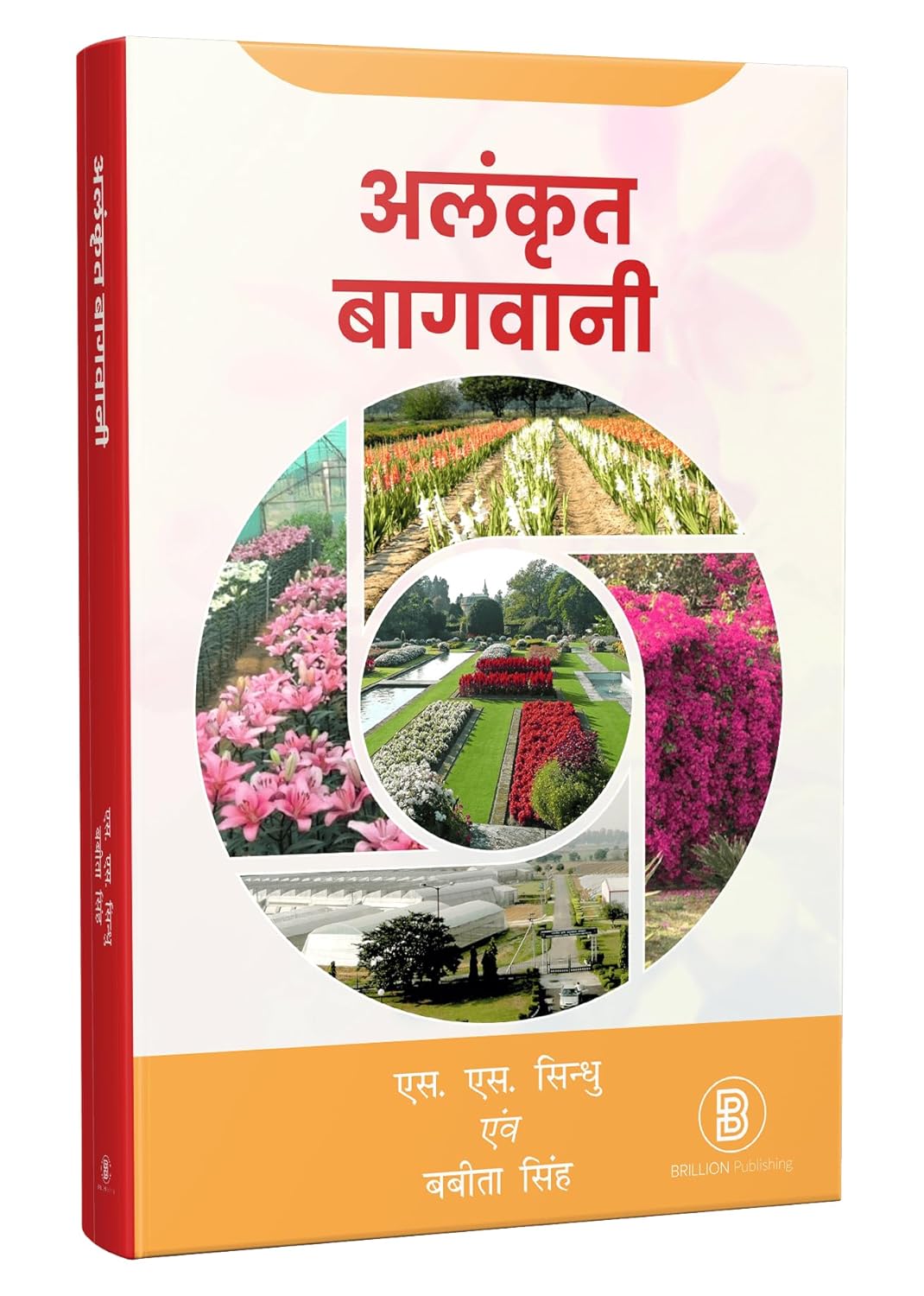 Buy Alankrit Baagavaanee Book Online at Low Prices in India | Alankrit ...