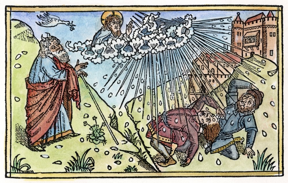 Plague Of Locusts Bible