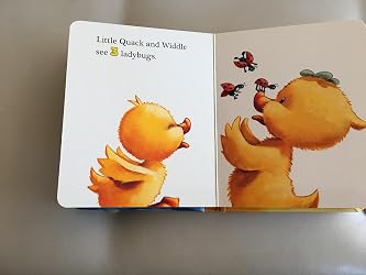 Amazon.com: Little Quack Counts: 9781416960935: Thompson, Lauren ...