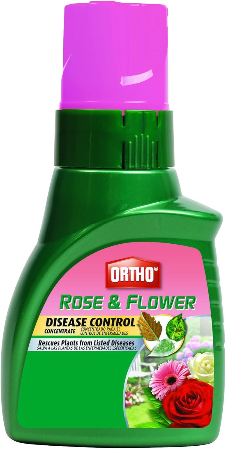 Amazon.com : Ortho Concentrate RosePride Rose and Shrub Disease Control ...
