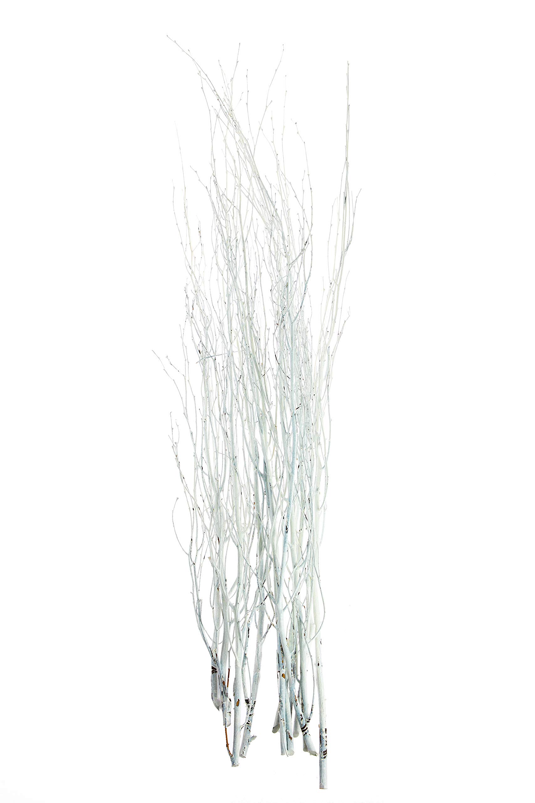 Birch Branches For Wedding
