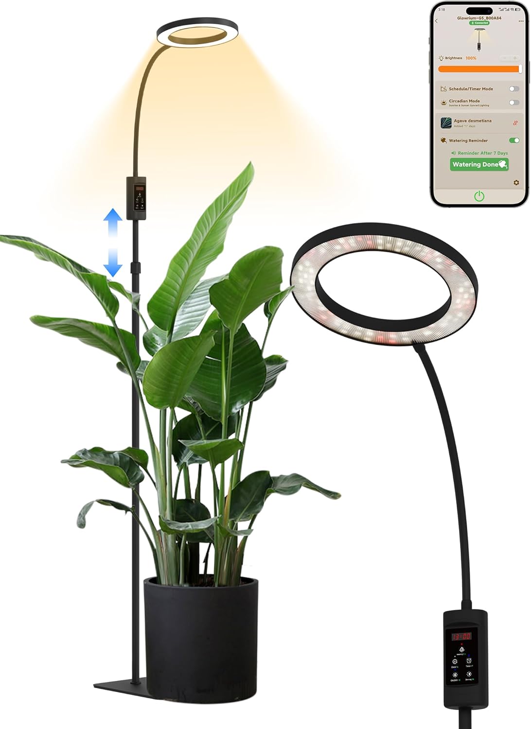 Amazon.com : GLOWRIUM Smart Grow Lights for Indoor Plants, 24W Full ...