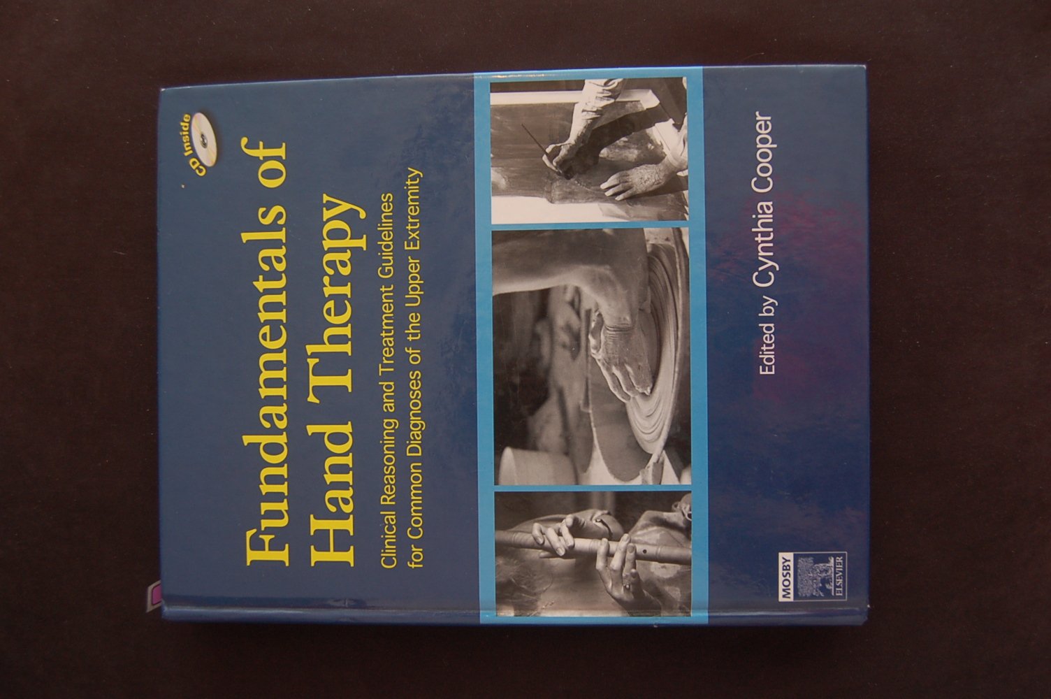 Fundamentals of Hand Therapy: Clinical Reasoning and Treatment ...