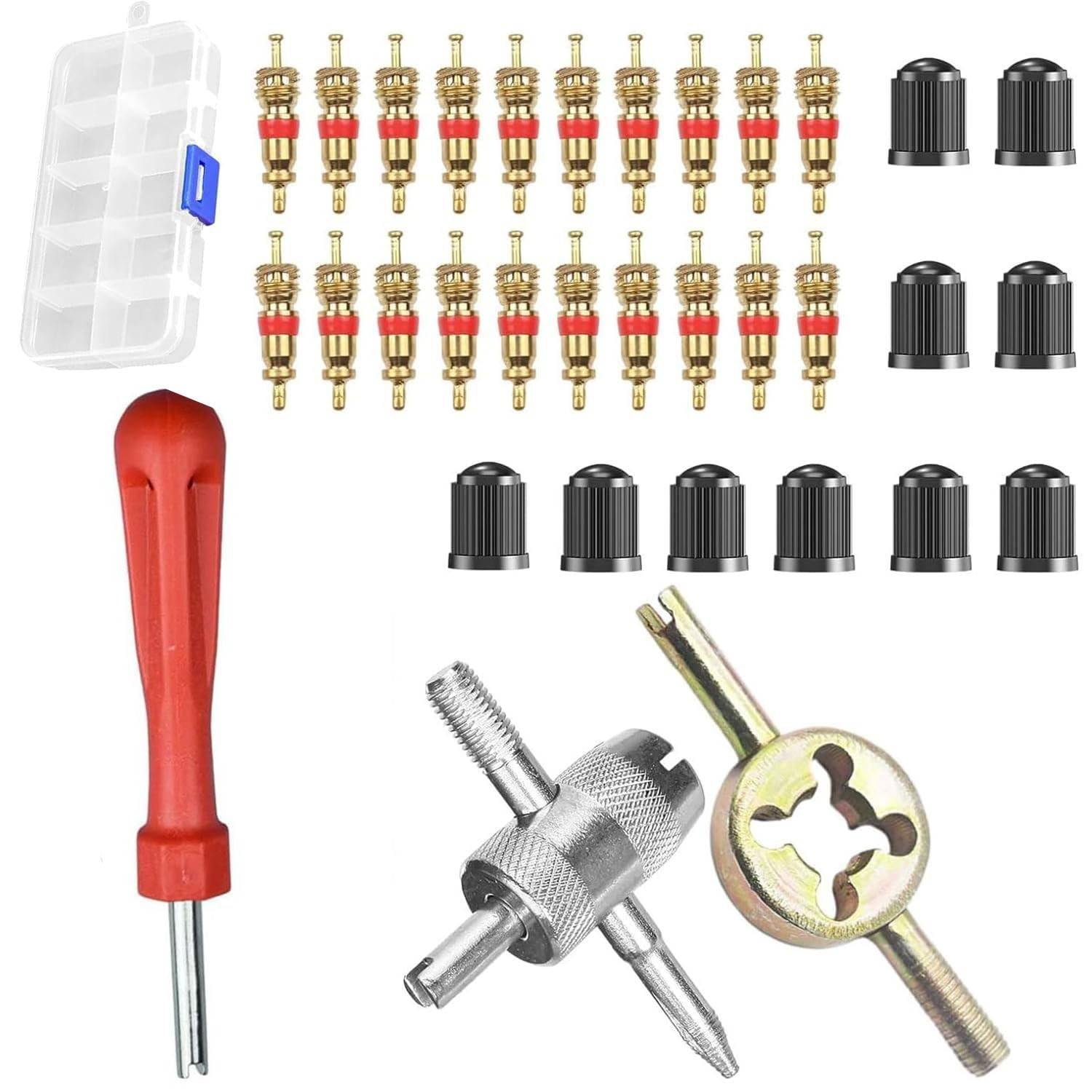 JOYVOX 33-Pcs Tire Valve Repair Kit with Core Remover & Valve Caps ...