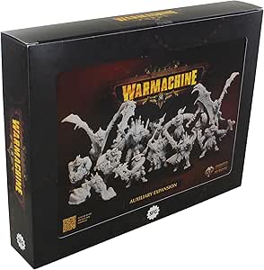 Amazon.com: Warmachine: Orgoth Sea Raiders Auxiliary Expansion : Toys ...