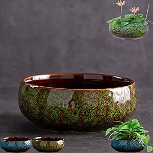 Amazon.com : ldawu Lotus Bowl Planter, Ceramic Lotus Flower Bowl Lotus ...