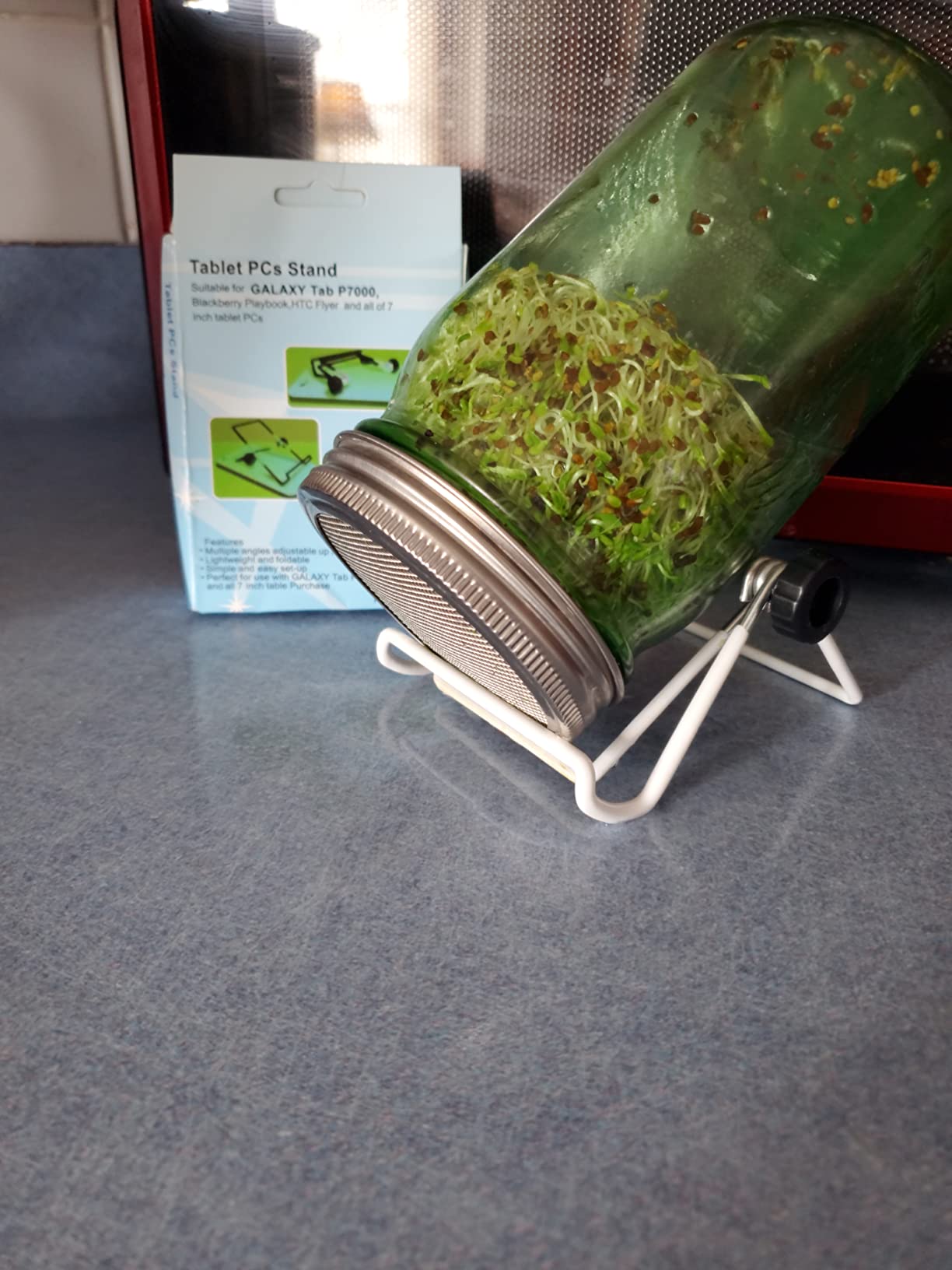 Amazon.com: Uspacific 2 Pack Sprouting Jar Kit with Stainless Steel ...