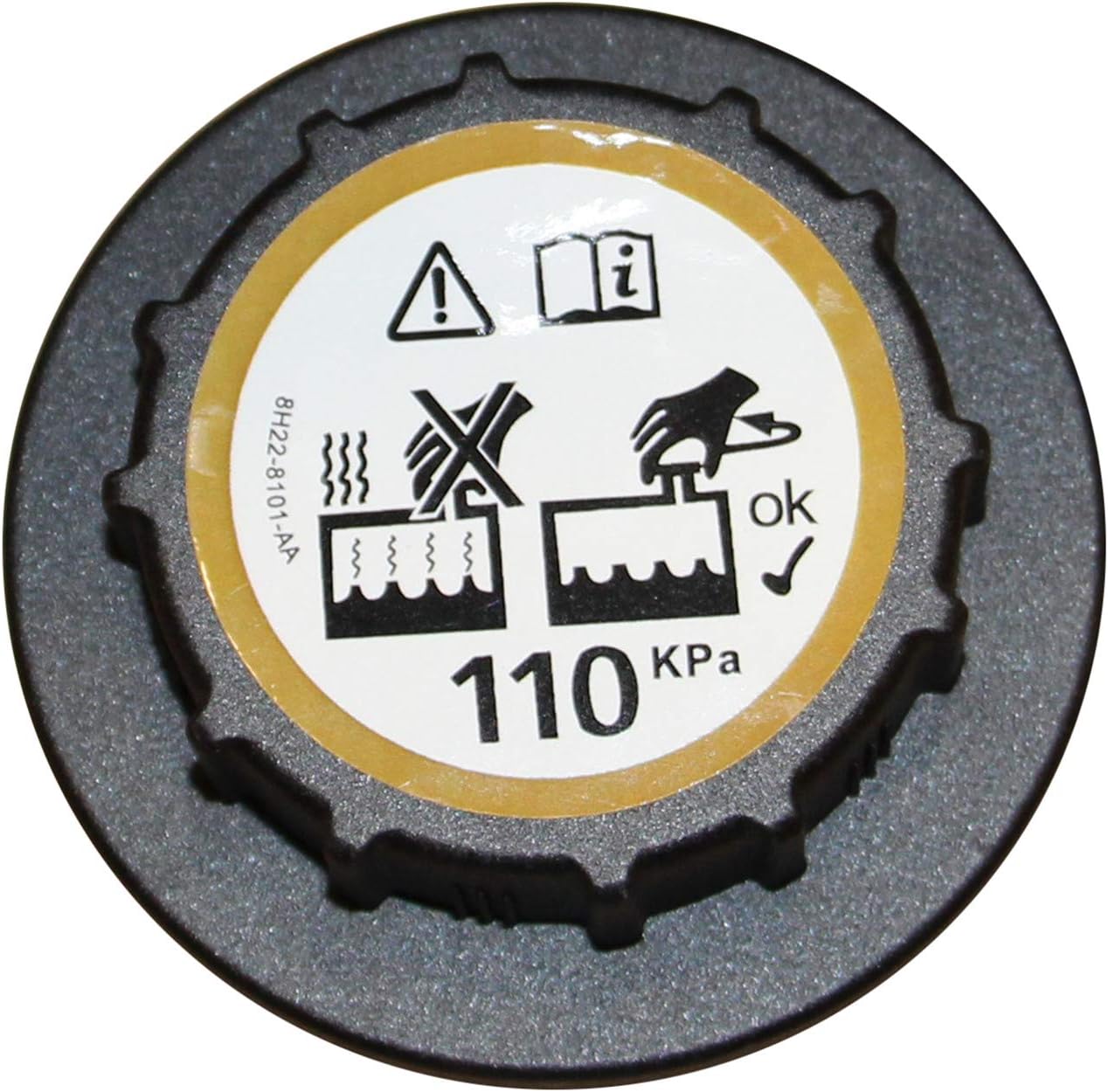 Amazon.com: Rein CPE0037 Expansion Tank Cap : Automotive