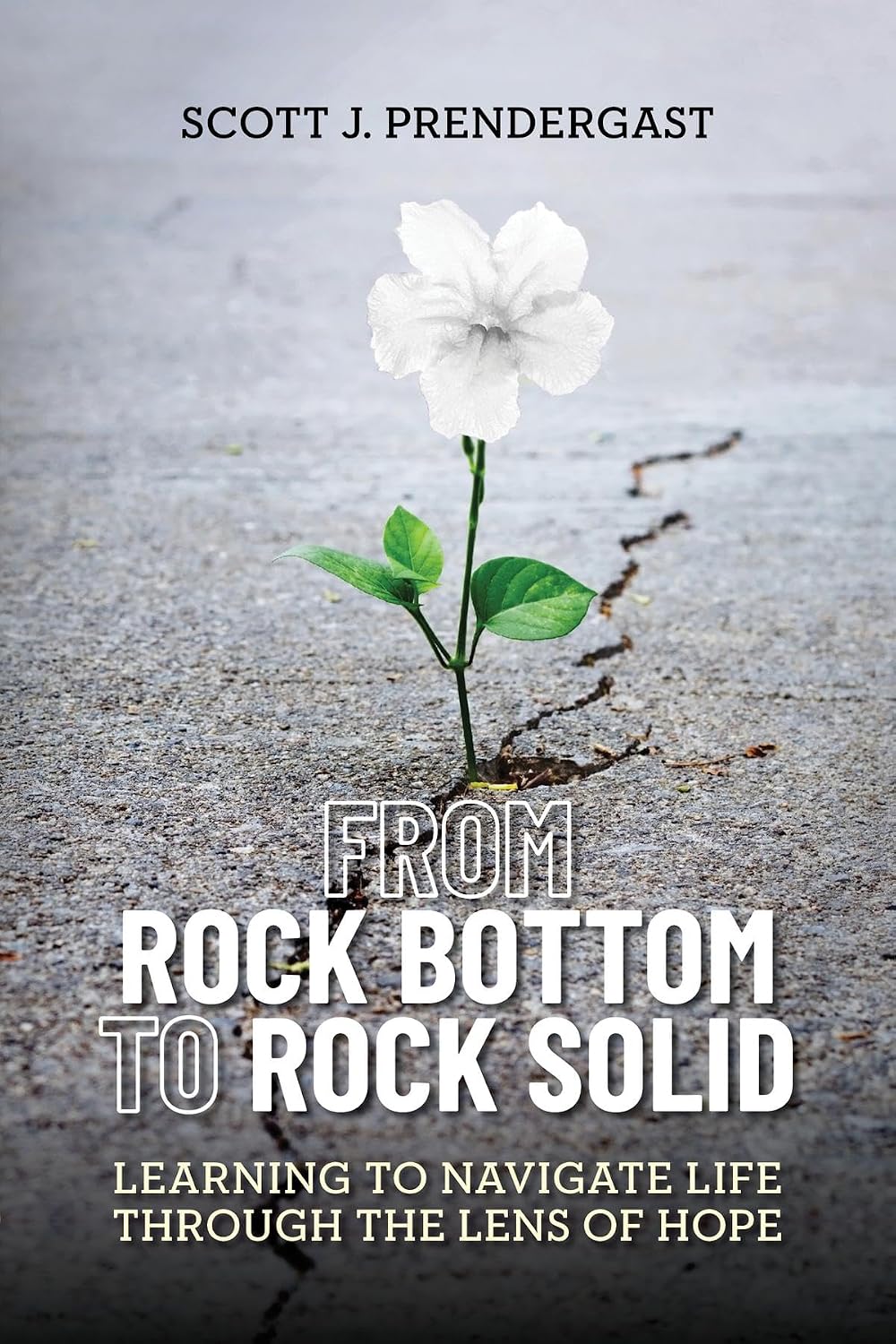 From Rock Bottom To Rock Solid: Learning To Navigate Life Through the ...