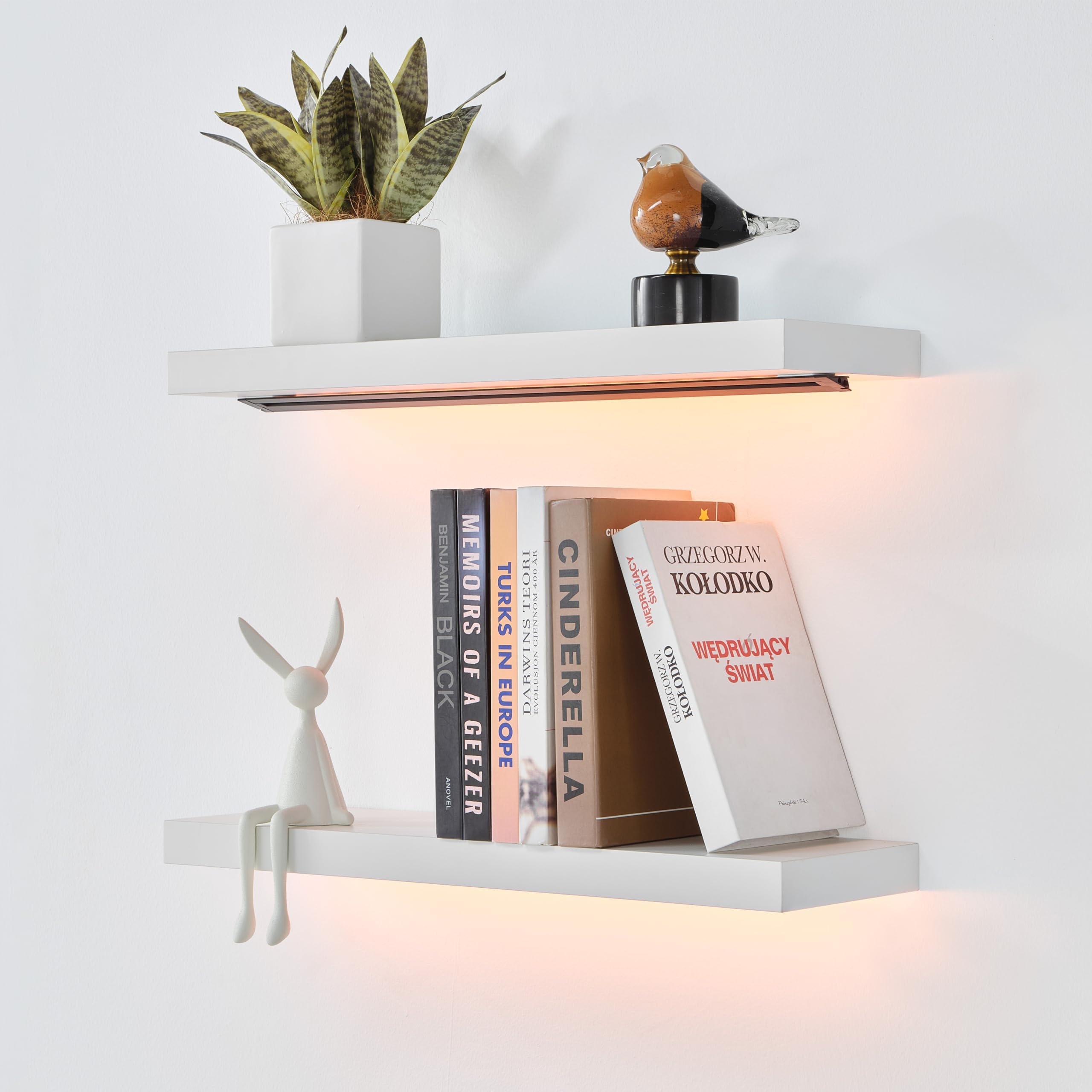 Amazon.com: Floating Shelves for Wall Decor Wood Wall Mounted Shelves ...