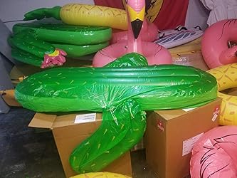 Amazon.com: Vickea Inflatable Cactus Pool Float Large Outdoor Swimming ...