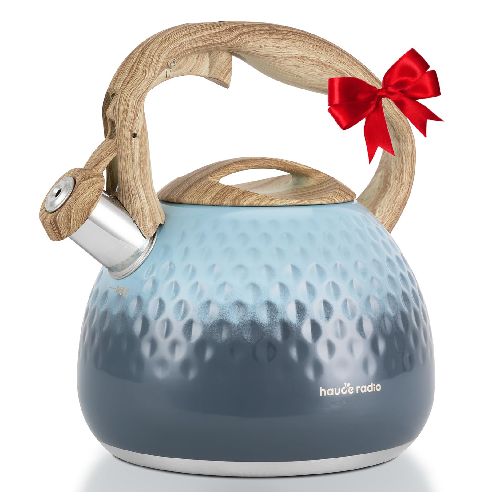 Amazon.com: Tea Kettle, Loud Whistle Tea Kettles for Stovetop,Food ...