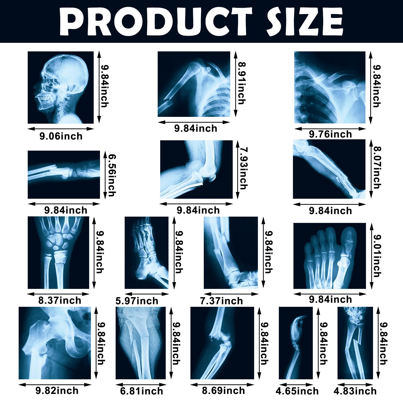Printable X Ray Pictures For Kids