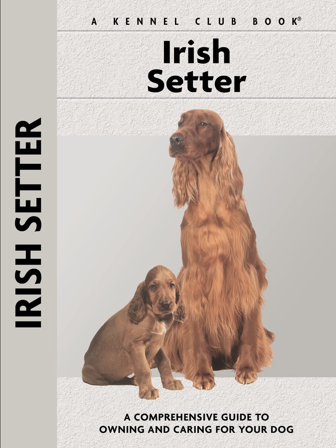 Irish Setter (Comprehensive Owner's Guide): Williams, Margaret ...