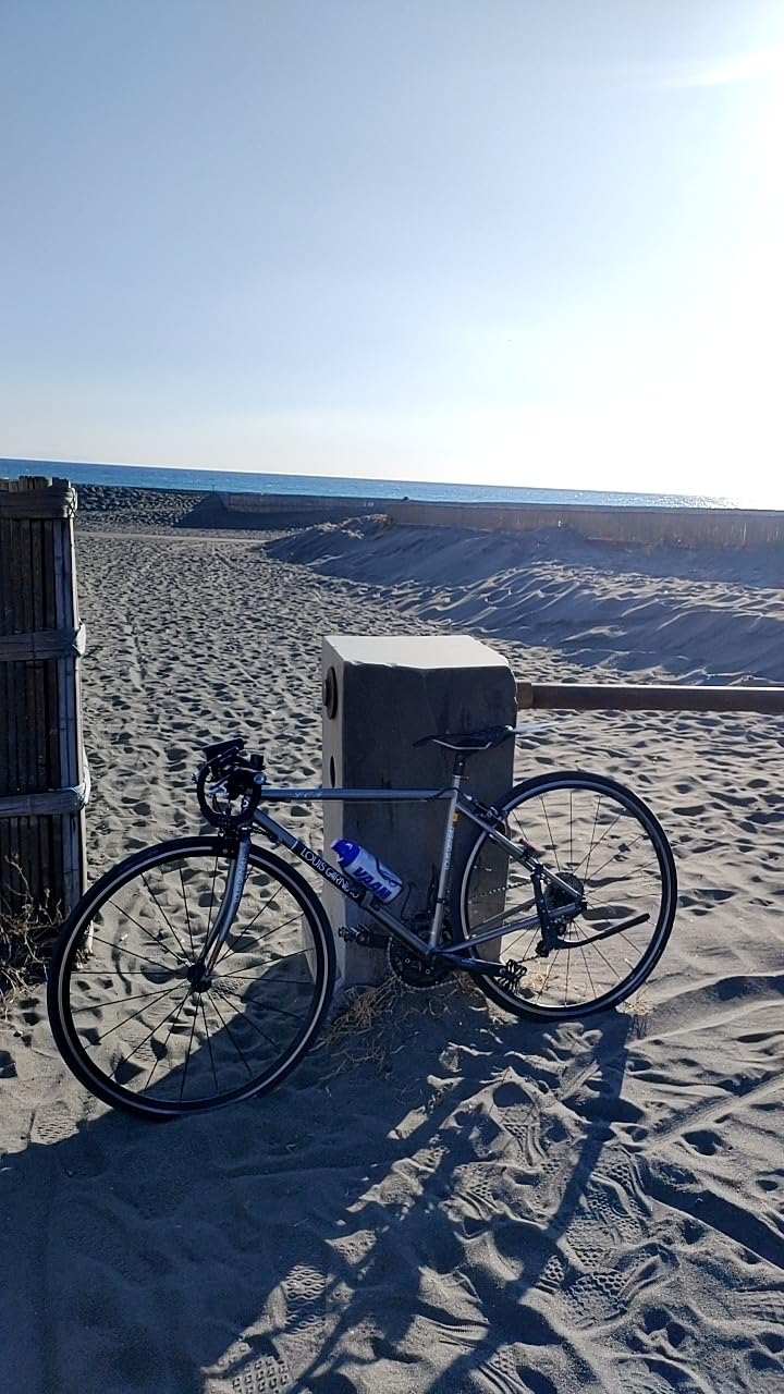 Amazon | MagicOne(マジックワン) ASS SAVERS(アスセイバー) REGULAR ブラック リアフェンダー MG-ASR-1-BLK ブラック | MagicOne ...