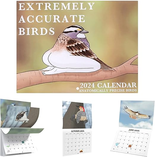 Extremely Accurate Birds Calendar 2024 2024 Anatomical Accurate Birds ...