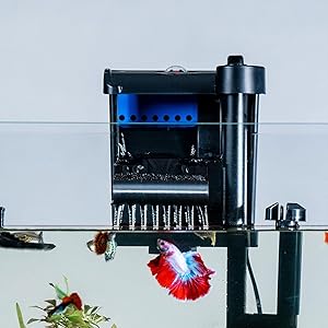 Amazon.com : Aquarium Filter Baffle, Fish Tank Accessory, Helps ...