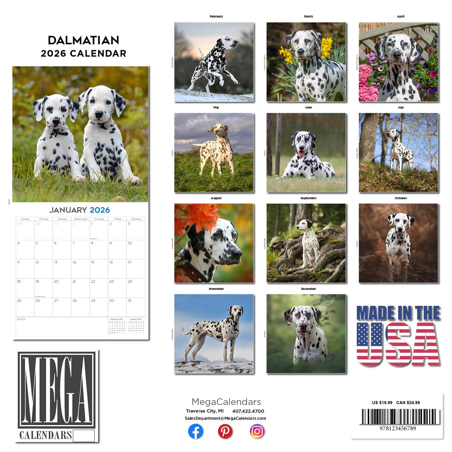 Snapklik.com : 2026 Dalmatian Calendar - Dog Breed Wall Calendar - 12 X ...