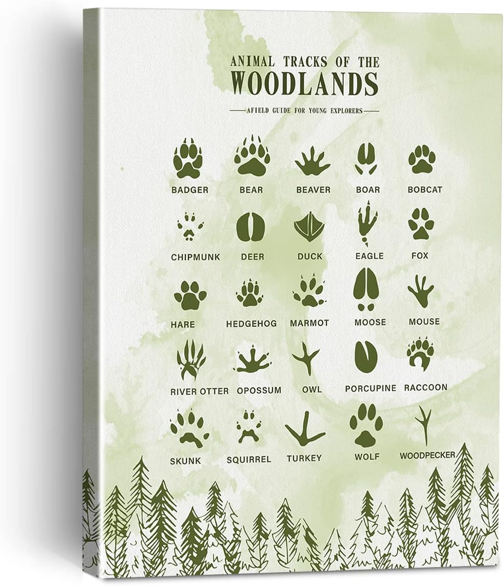 Amazon.com: Animal Tracks of the Woodlands Canvas Painting Framed Wall ...