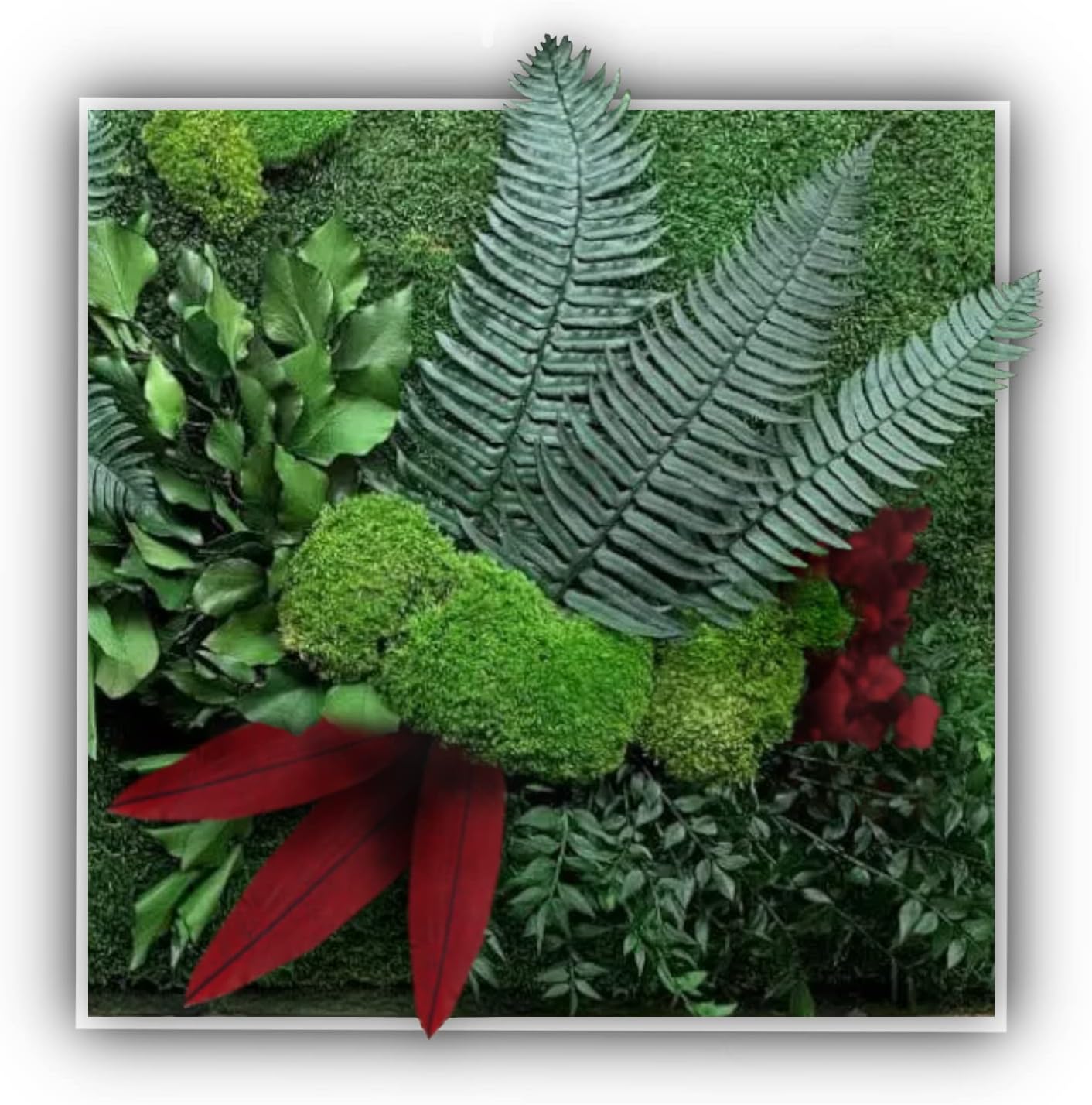 clorophilla. Quadro Vegetale con Piante Stabilizzate Vere e Naturali ...