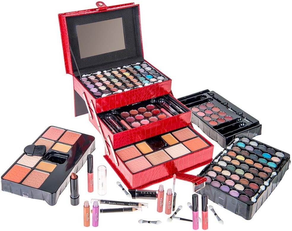 Amazon.com : SHANY All In One Makeup Kit (Eyeshadow, Blushes, Face ...
