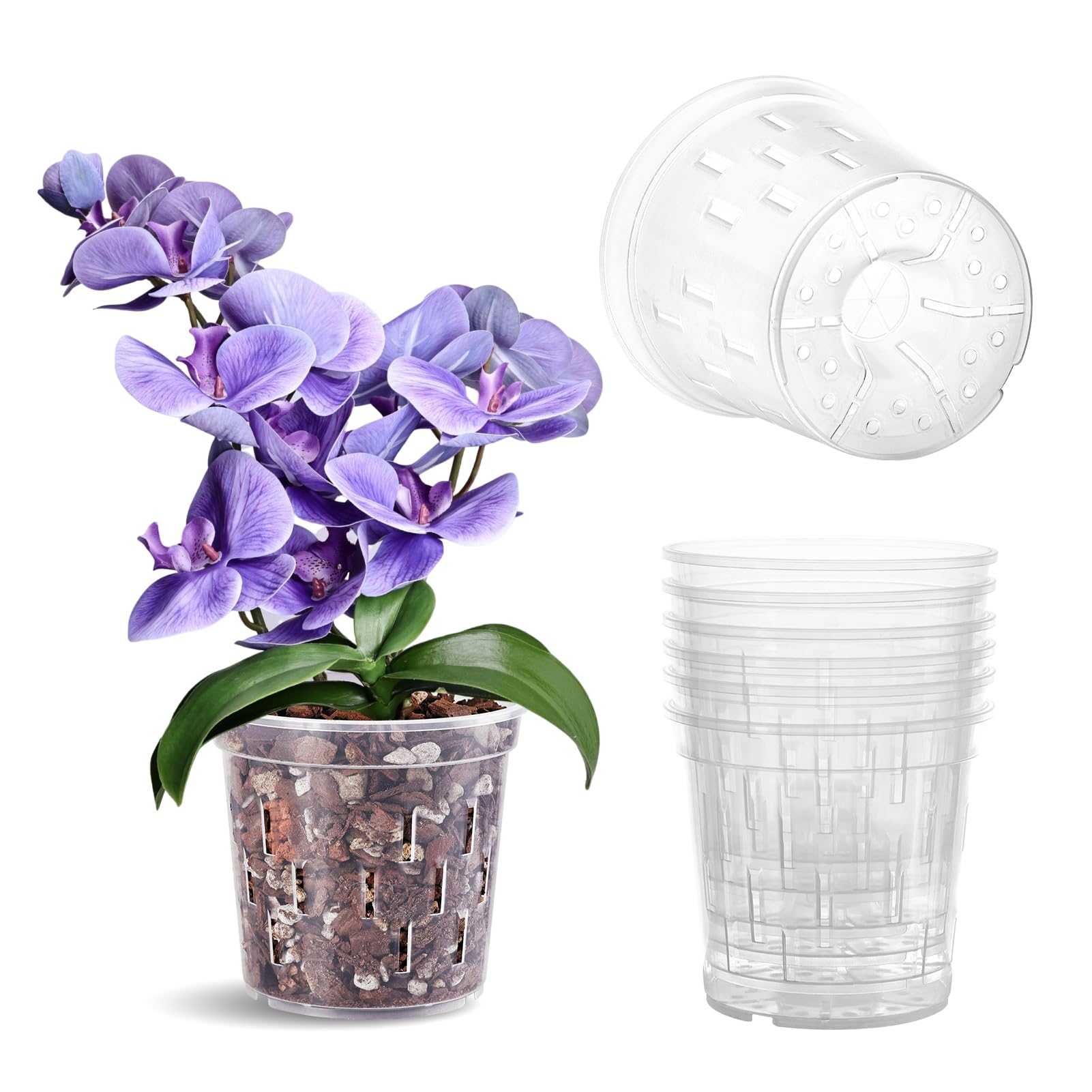 Amazon.com: TRUEDAYS 6 Pack Orchid Pot 5 Inch Clear Flower Pot Plastic ...