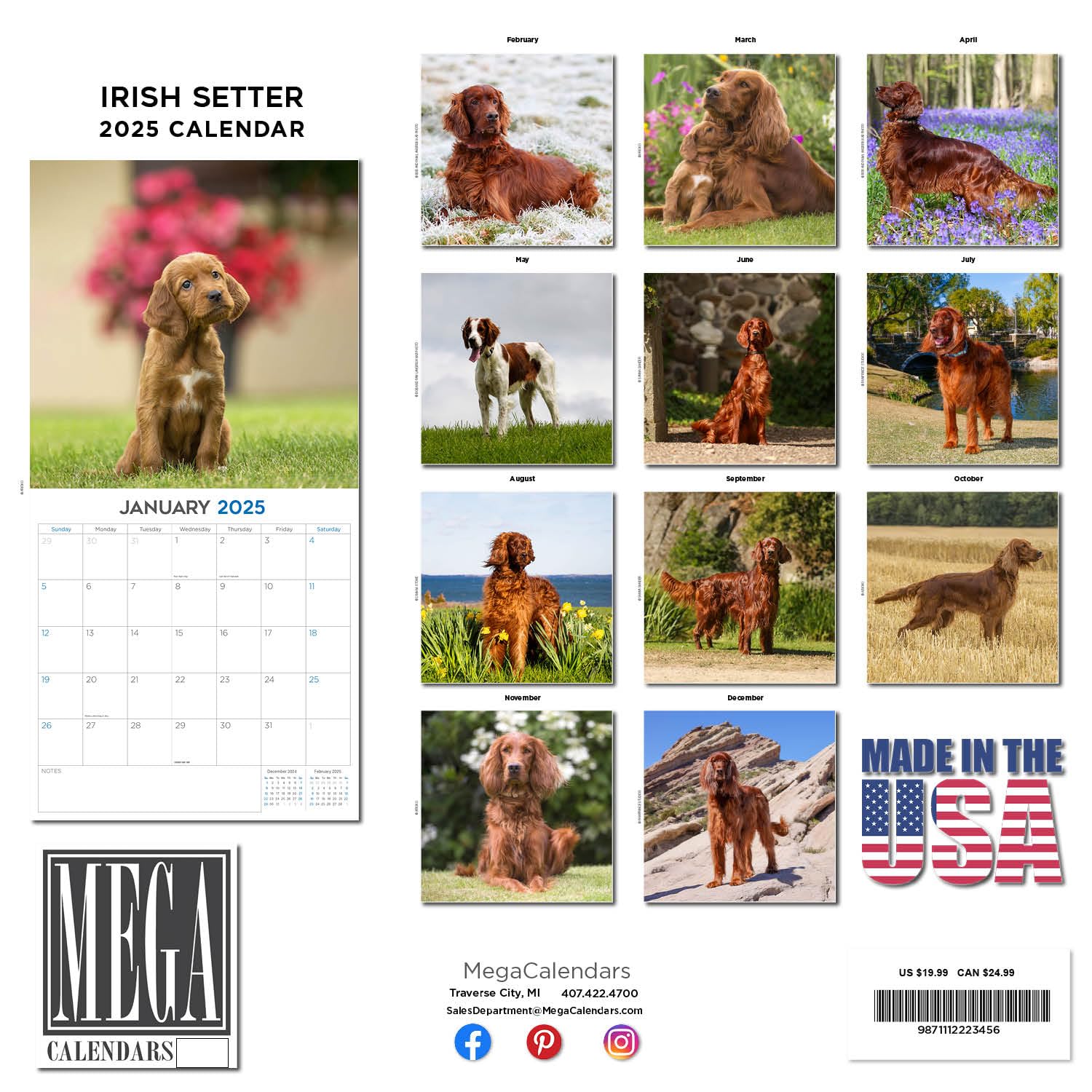 Snapklik.com : 2026 Irish Setter Calendar - Dog Breed Wall Calendar ...