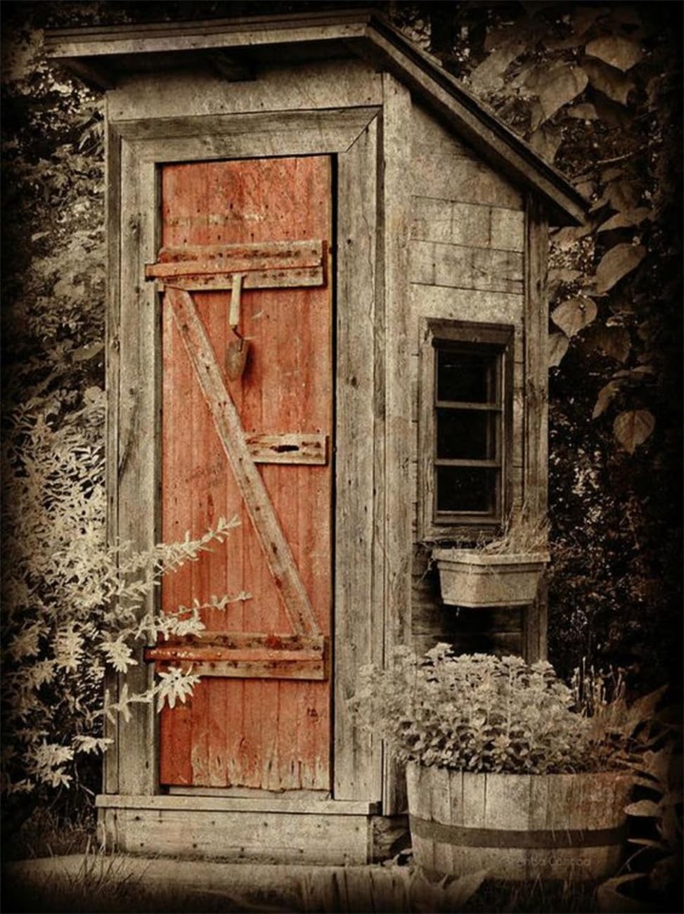 Amazon.com: Weird Outhouse Vintage Poster Canvas Print Wall Art Modern ...