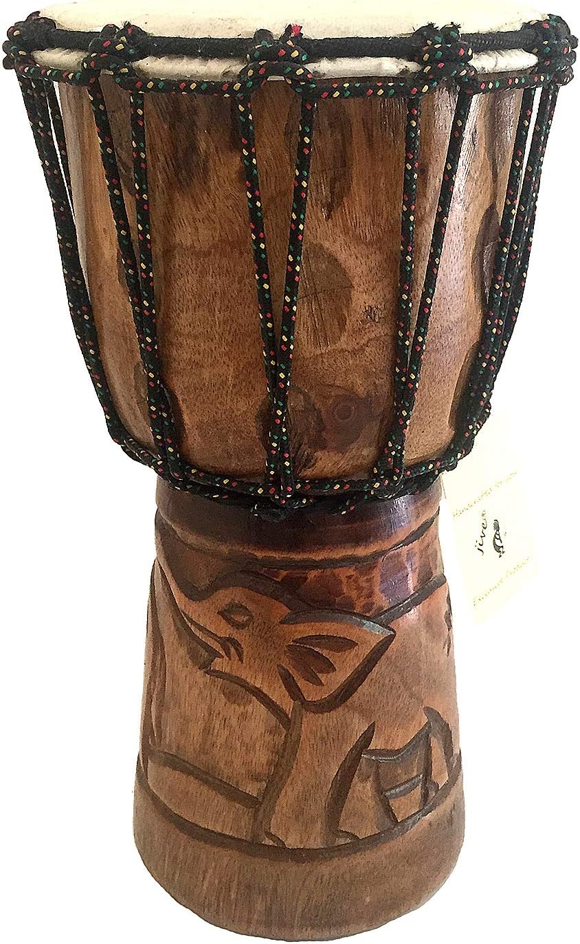 Amazon.com: Djembe Drum Solid Wood Deep Carved Bongo Congo African Drum ...