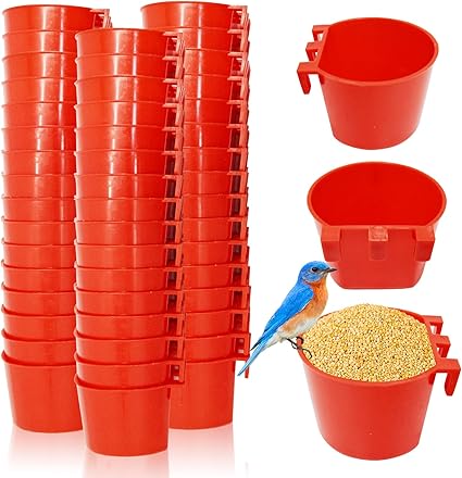 Amazon.com : Conehoy 52 Pcs Plastic Bird Feeder Cups for Small Birds ...