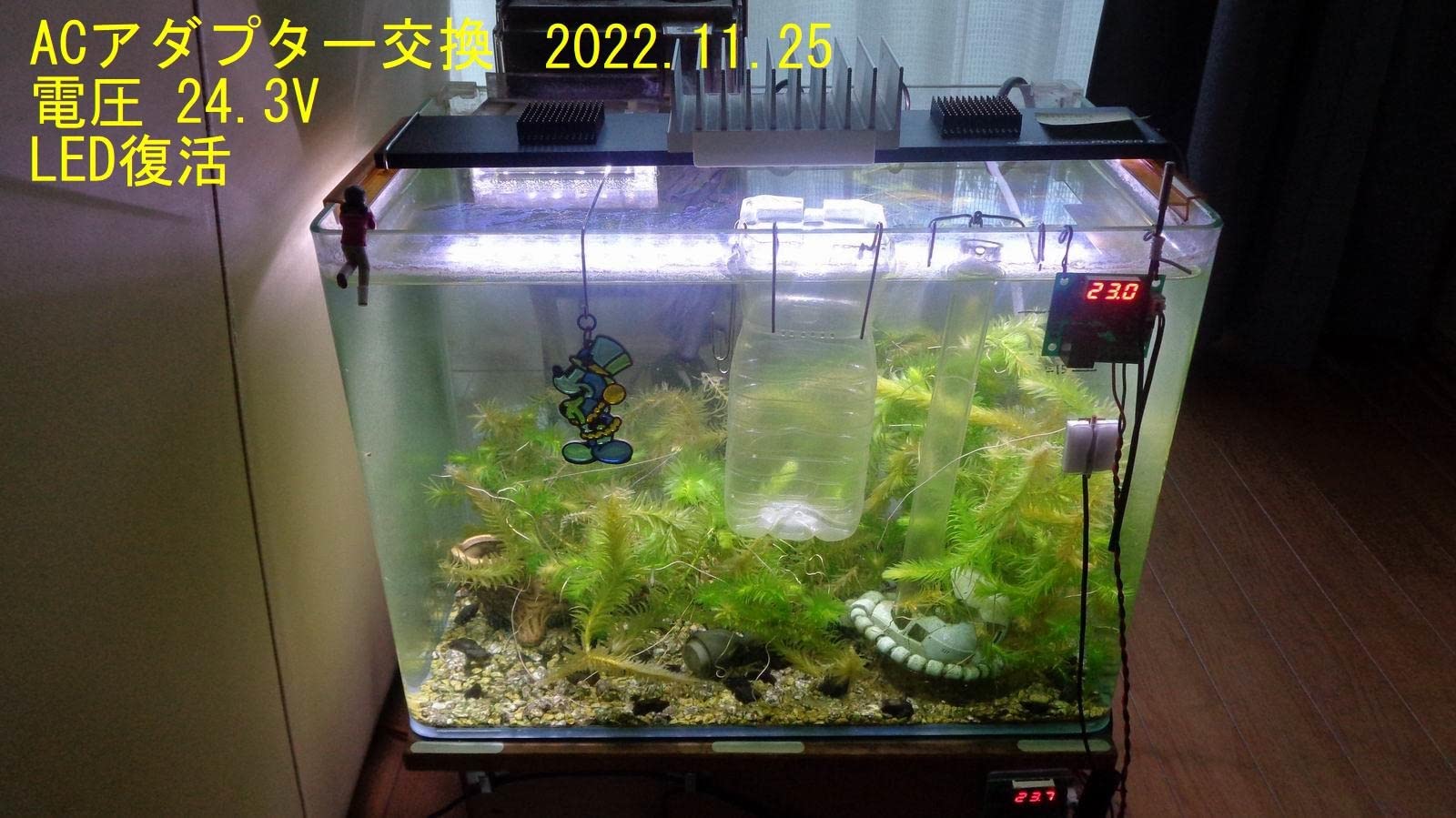 Amazon | GEX クリアLED POWER X 600 明るさ1,400lm 色温度11,000K ライトリフト付 アクアリウム 多肉植物幅40-50cm水槽用 | ジェックス ...