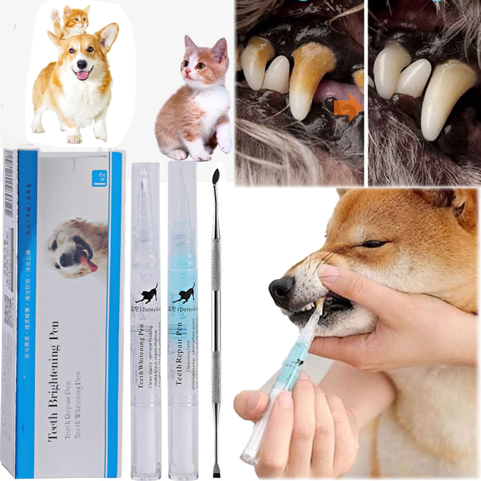 Dog And Cat Brushing Teeth