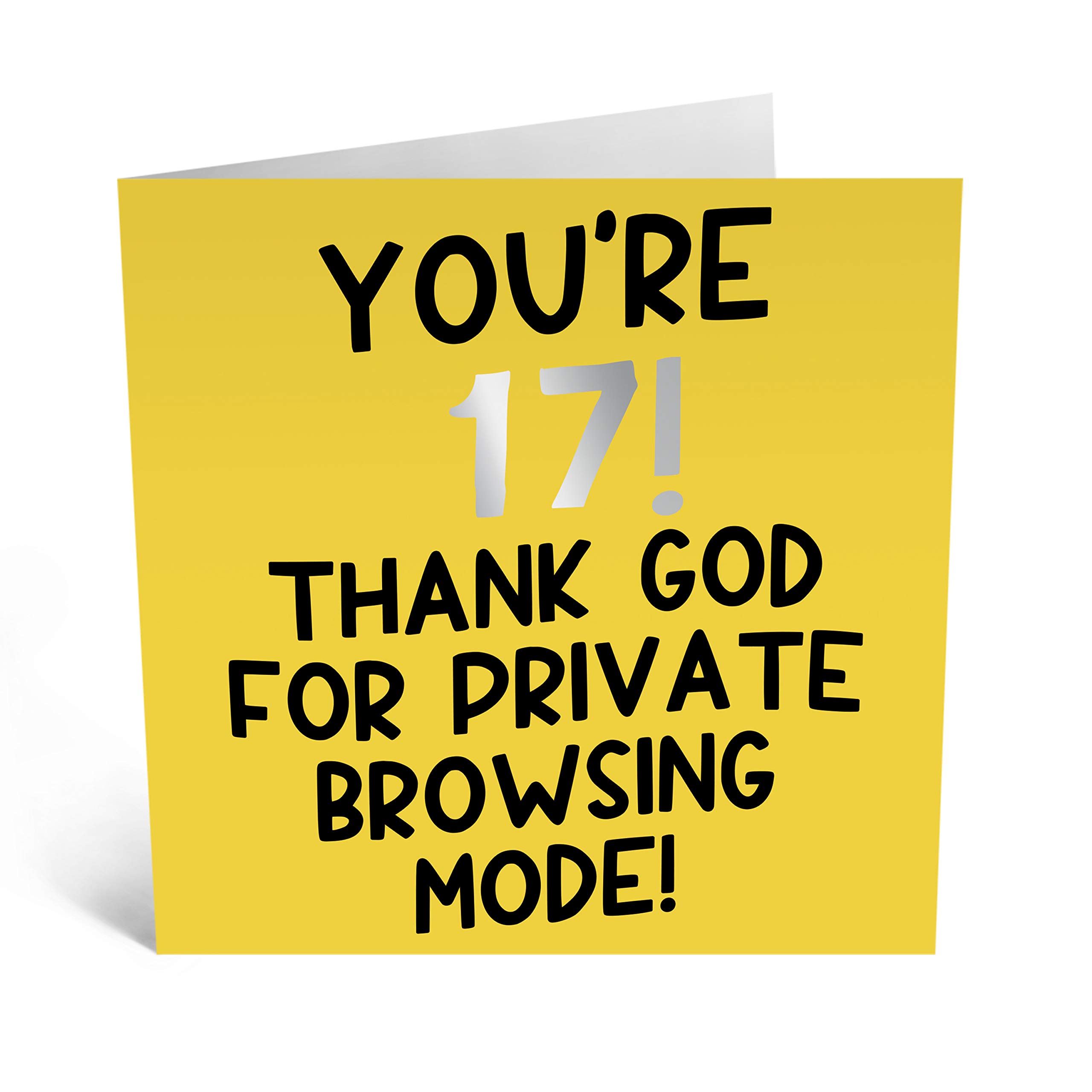 Funny 17th Birthday Card